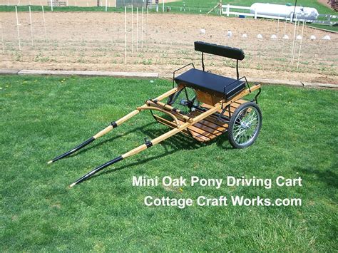 Mini Horse Cart With Sleigh At Laura Strong Blog