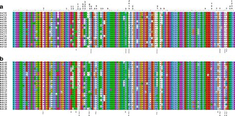 Polymorphisms In Amino Acid Sequence Of The Class I Mhc Peptide Binding Download Scientific