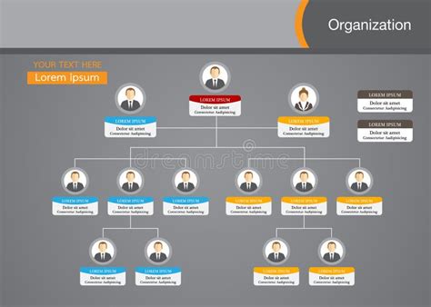 Infografía De Organigrama Con Icono De Personas Y Ilustración Vectorial