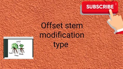 Stem Modification Type Offset Youtube