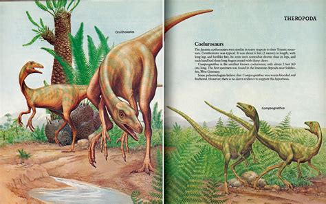 Vintage Dinosaur Art Dinosaurs And Other Archosaurs Part 1 Love In