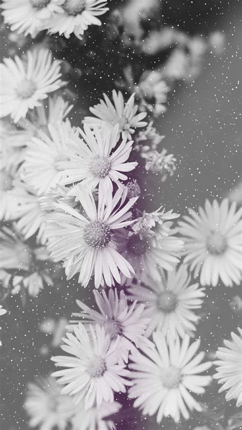 Demisexual Wallpapers Wallpaper Cave