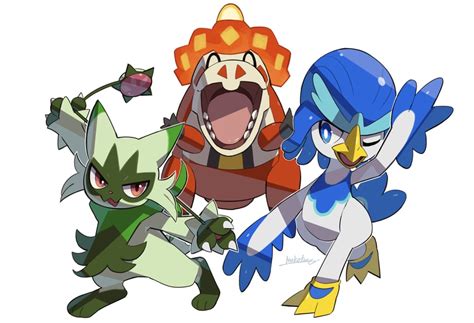 Floragato Quaxwell And Crocalor Pokemon Drawn By Makoto Ikemu