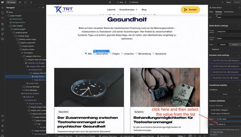 Cms Filter All Works But Filter Radio Buttons Make Posts Disappear 2 By Support Luis