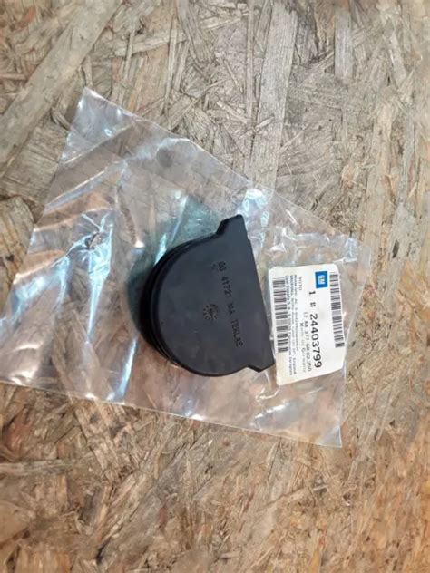 Vectra B Gummistopfen Stirnwand Wasserablass Original Gm Opel Neu Eur 219 Picclick De