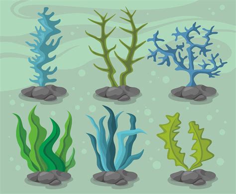 Seaweed Vector Design Vector Art And Graphics