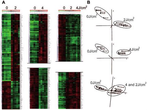 gene and sample classification analyses hierarchical clustering hc