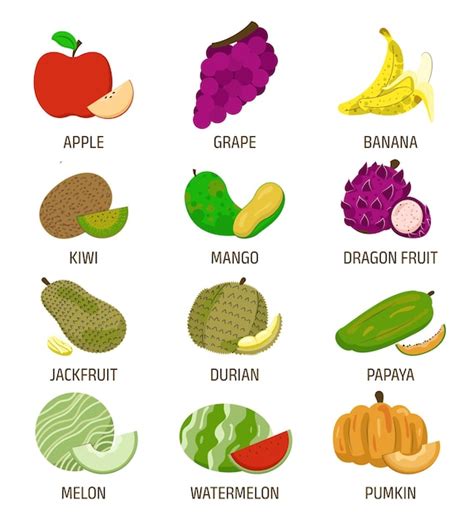 Atis Fruit Vectors And Illustrations For Free Download Freepik