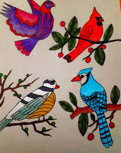 Birds Gif Birds Discover Share Gifs