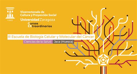 Escuela de Biología Celular y Molecular del Cáncer IISA