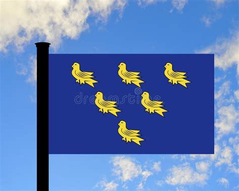County Flag Of Sussex Stock Image Image Of Gold Kingdom 347611389