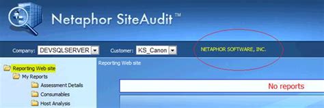 Customizing Reporting Web Site Netaphor Siteaudittm Knowledgebase