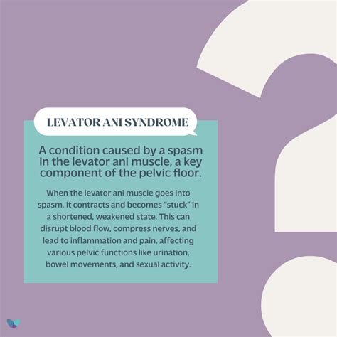 Understanding Levator Ani Syndrome And Chronic Pain Pelvic