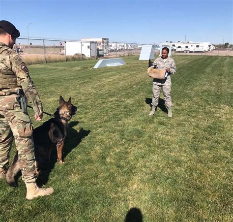 Behind The Scenes With Security Forces F E Warren Air Force Base News