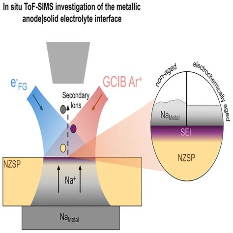 In Situ Tof Sims Investigation Of The Dynamic Metallic Anode Solid Electrolyte Interface In