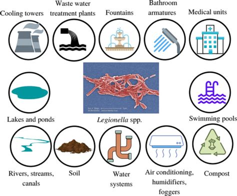 Legionellosis Risk—an Overview Of Legionella Spp Habitats In Europe Pmc