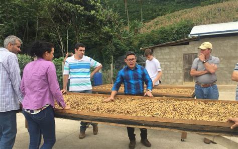 Fermenting Coffee With Fruit A New Trend Perfect Daily Grind