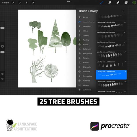 Procreate Watercolor Tree Elevation Brushes Landscape Architecture