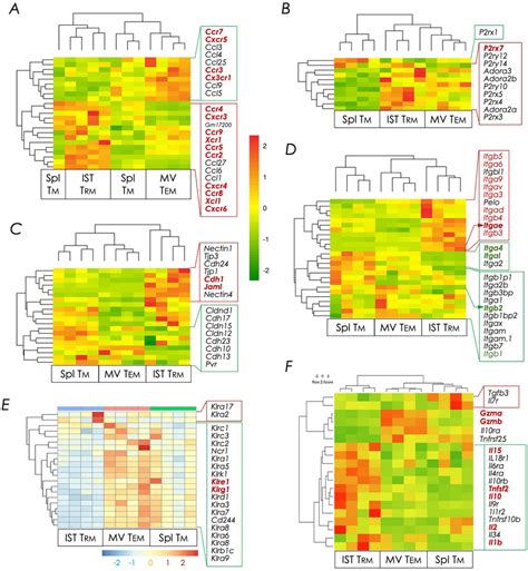 Heat Map Representation Of Pathway Specific Gene Expression Changes