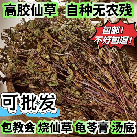 25年最新｜正宗仙草干这样选才不踩坑！凉粉草粿龟苓膏必买指南🔥 天然粉粉食品 淘宝好物网