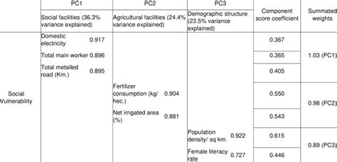 principal component loadings component score coefficients and summated
