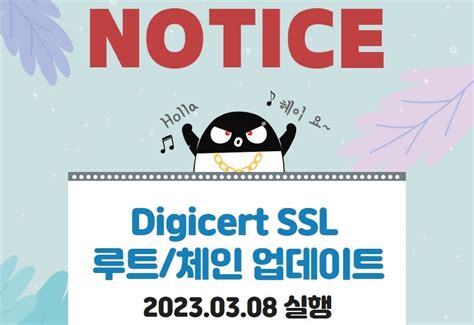 [중요공지] digicert ssl인증서 루트 체인 업데이트 2023 03 08실행 ssl 인증서 발급 종류 가격비교
