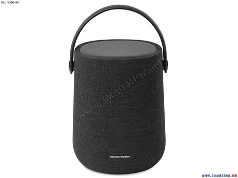 Беспроводная портативная колонка Harman Kardon Citation 200 (Black ...