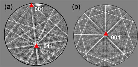 11 Two Types Of Kikuchi Patterns Seen On 001 Oriented Grains Of