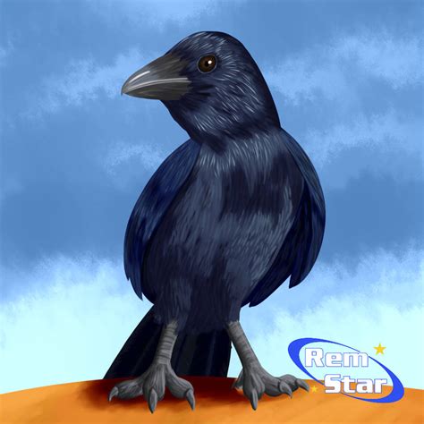 A Small Raven By Rem Star On Deviantart