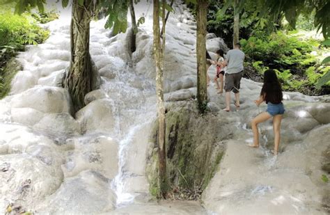Bua Tong Waterfall Thailand Nomads