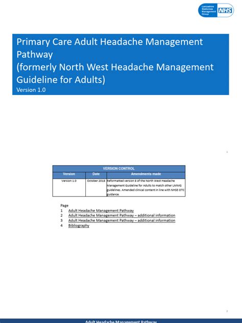 Headache Management Guideline For Adults Version 10 Pdf Headache