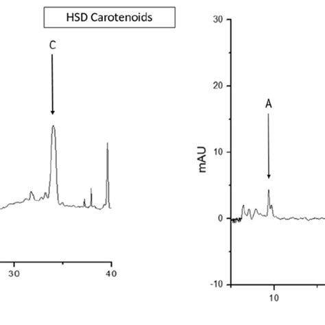 Hplc Chromatograms Of Phenolic Acids Present In Optimized Hsd And Uae