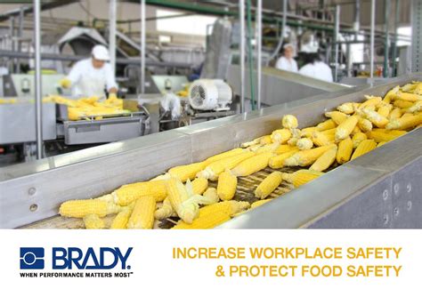 Foodbevguide Cover En Food And Drink Processing And Packaging