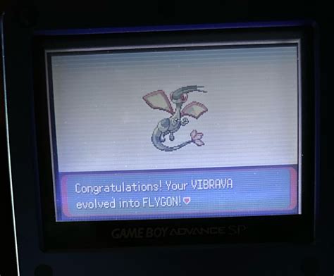 Finally Fully Evolved My Whole Team R Pokemonemerald