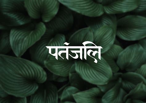 Patanjali projects | Photos, videos, logos, illustrations and branding ...