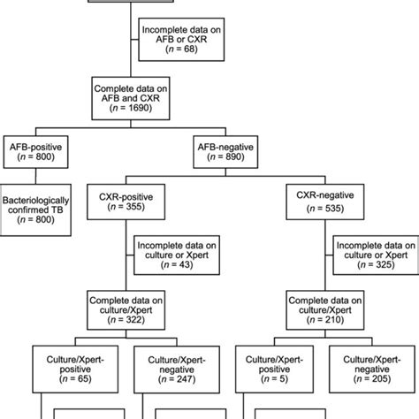 Figure Diagnostic Flow Chart Of Presumptive Tb Patients Bandung City
