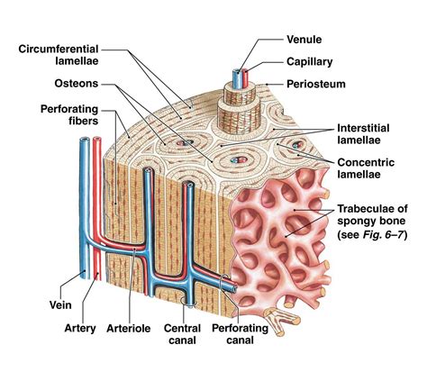 Cell Function Seer Training