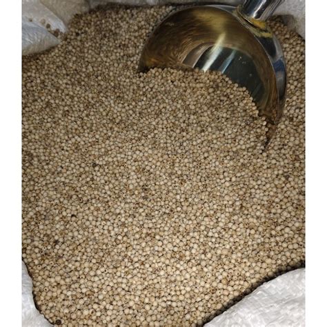 Jual Lada Putih 1kg Biji Lada Putih Lokal Premium Shopee Indonesia