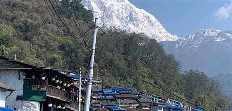 Letter From Sikles Nepali Times