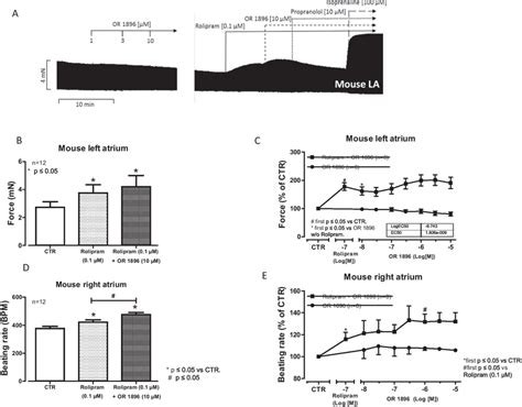 Positive Inotropic And Chronotropic Effects Of Or 1896 In The Mouse