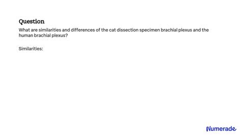 Solved What Are Similarities And Differences Of The Cat Dissection Specimen Brachial Plexus And