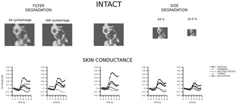 The Effects Of Picture Degradation On The Affective Modulation Of Skin