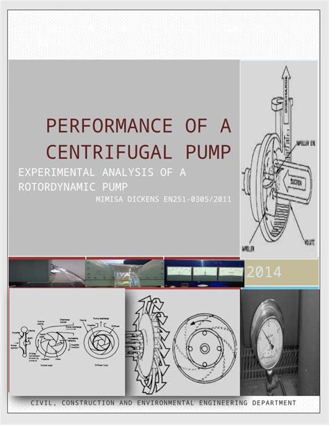 Docx The Centrifugal Pump Dokumen Tips