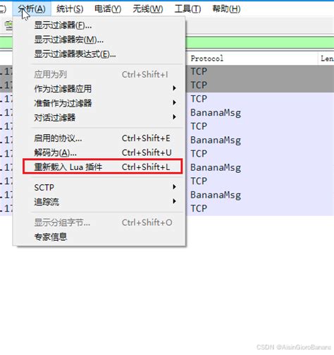 让你在wireshark中的数据包好看点（lua脚本调试） wireshark lua脚本 csdn博客