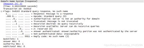 dns报文抓包分析 dns抓包分析 csdn博客