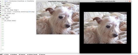 Inconsistent Api For Tensor And Pil Image For Centercrop Issue Pytorch Vision Github