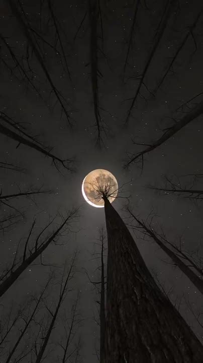 Coding Dsa On Linkedin Computer Science Essentials Crafting User Friendly Forms And Ensuring