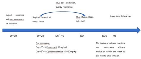 แพ็คเกจการบำบัดมะเร็งผิวหนัง Tils ในประเทศจีน Bioocus