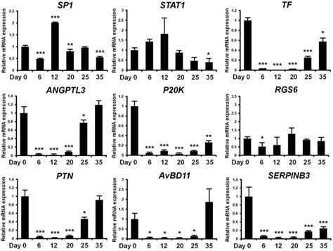 validation of microarray gene expression data by quantitative rt pcr